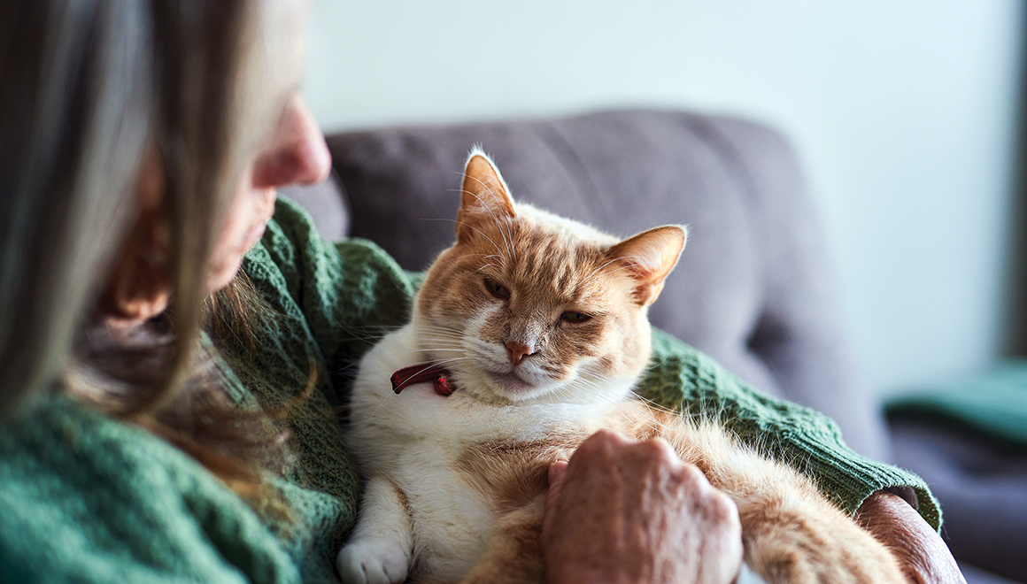 Factors, dynamics and effects of isolation for older people | Australian Institute of Family Studies